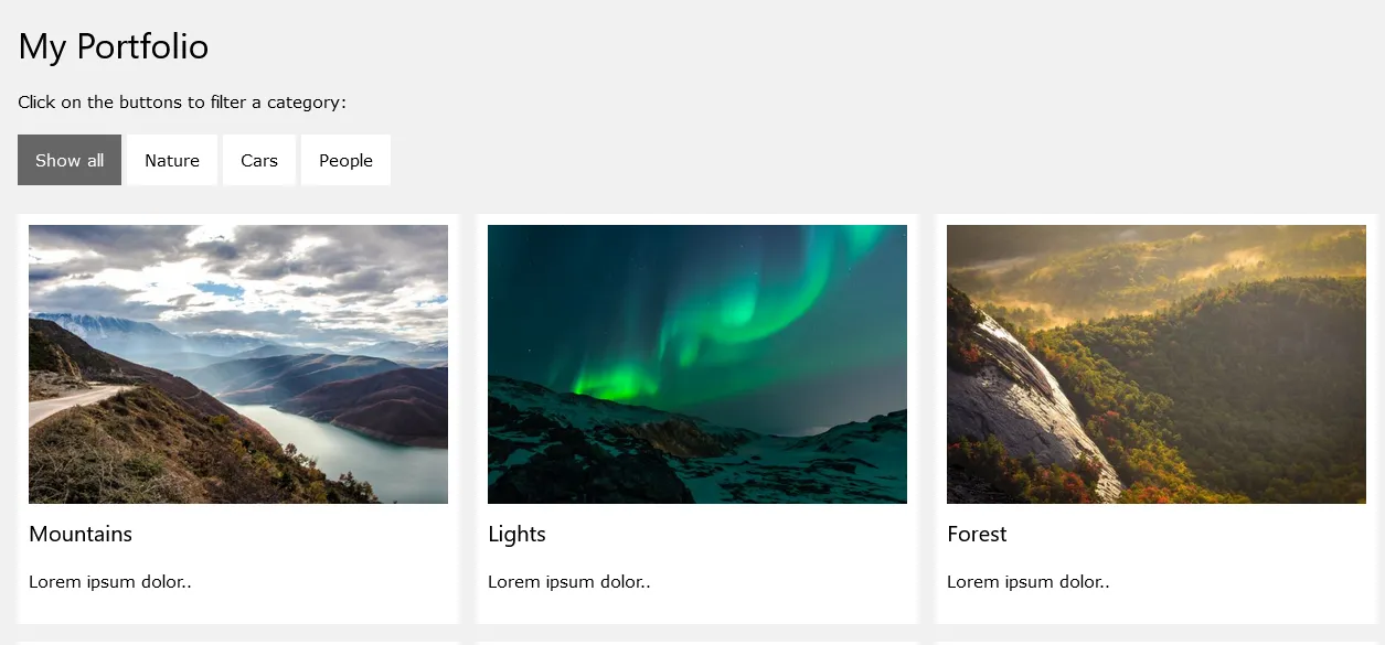 Portfolio Gallery With Filtering Using HTML CSS And JavaScript