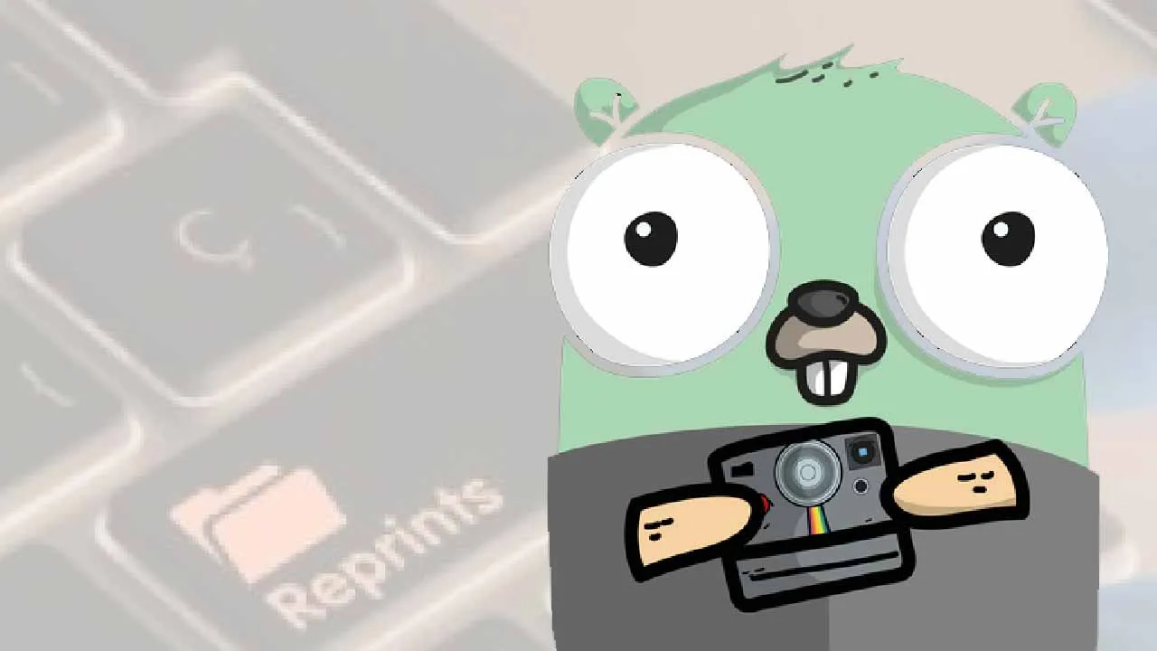 Capture And Reprint Terminal Output Of A Command In Golang 9844