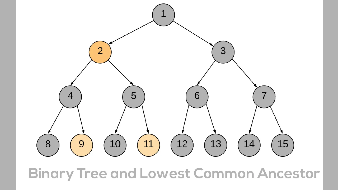 Binary Tree and Lowest Common Ancestor Binary Tree and Lowest Common Ancestor